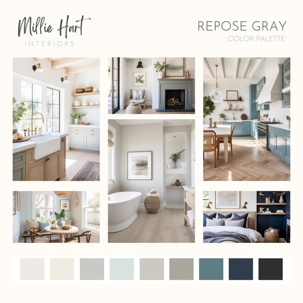Repose Gray Sherwin Williams Paint Palette, Modern Paint Colors for Ho ...