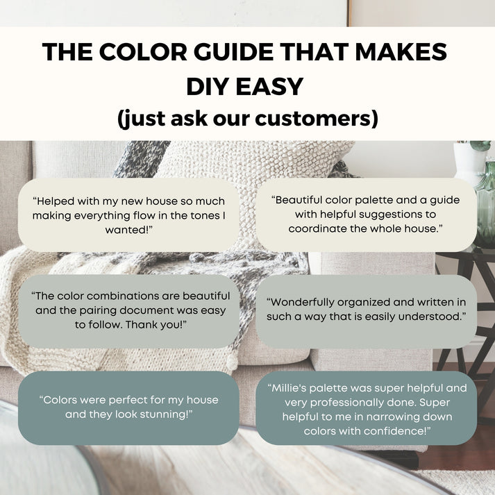 Balboa Mist Benjamin Moore Paint Palette, Neutral Interior Paint Color ...