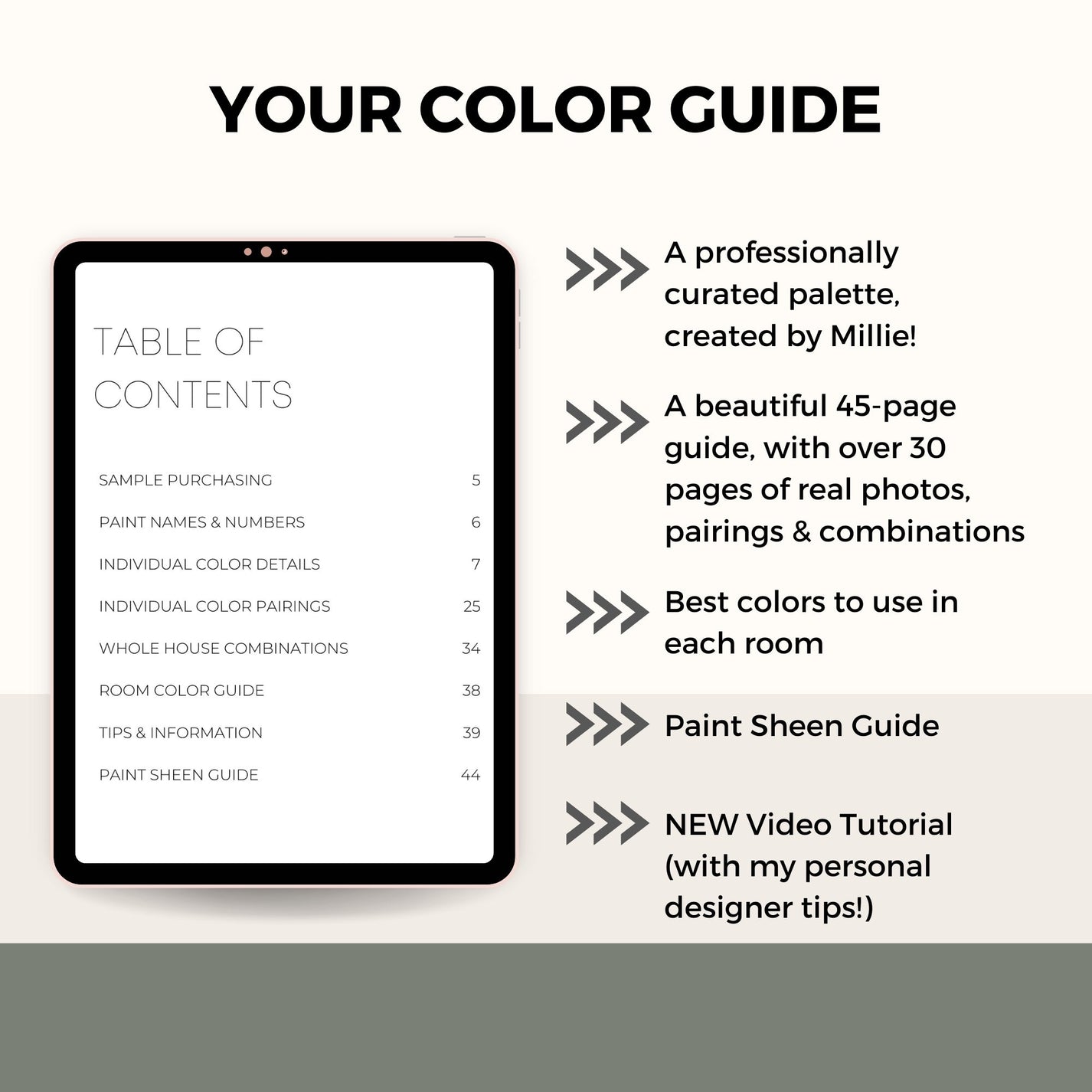 Amazon Green Benjamin Moore Paint Palette - Modern Neutral Interior Pa ...