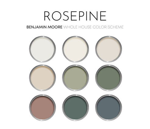 Rosepine Benjamin Moore Paint Palette, Timeless Neutral Interior Color ...